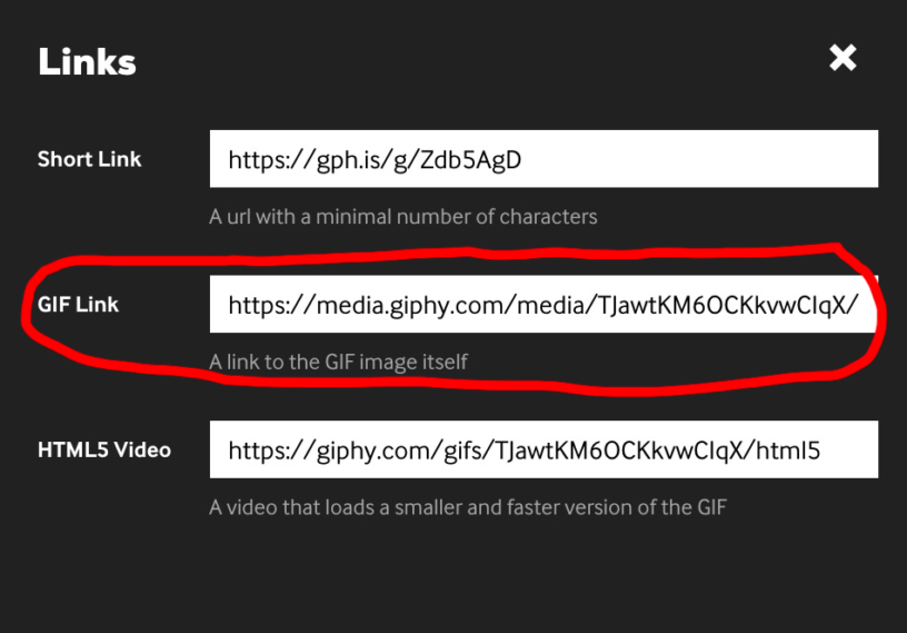 How To Add Giphy Gifs into dev.to posts - Timo Ernst